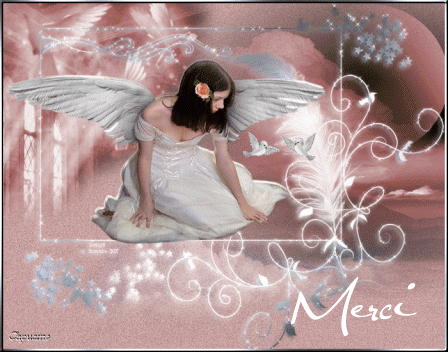 TAGS MERCI